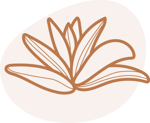 Aloha Moon Spa | treatments