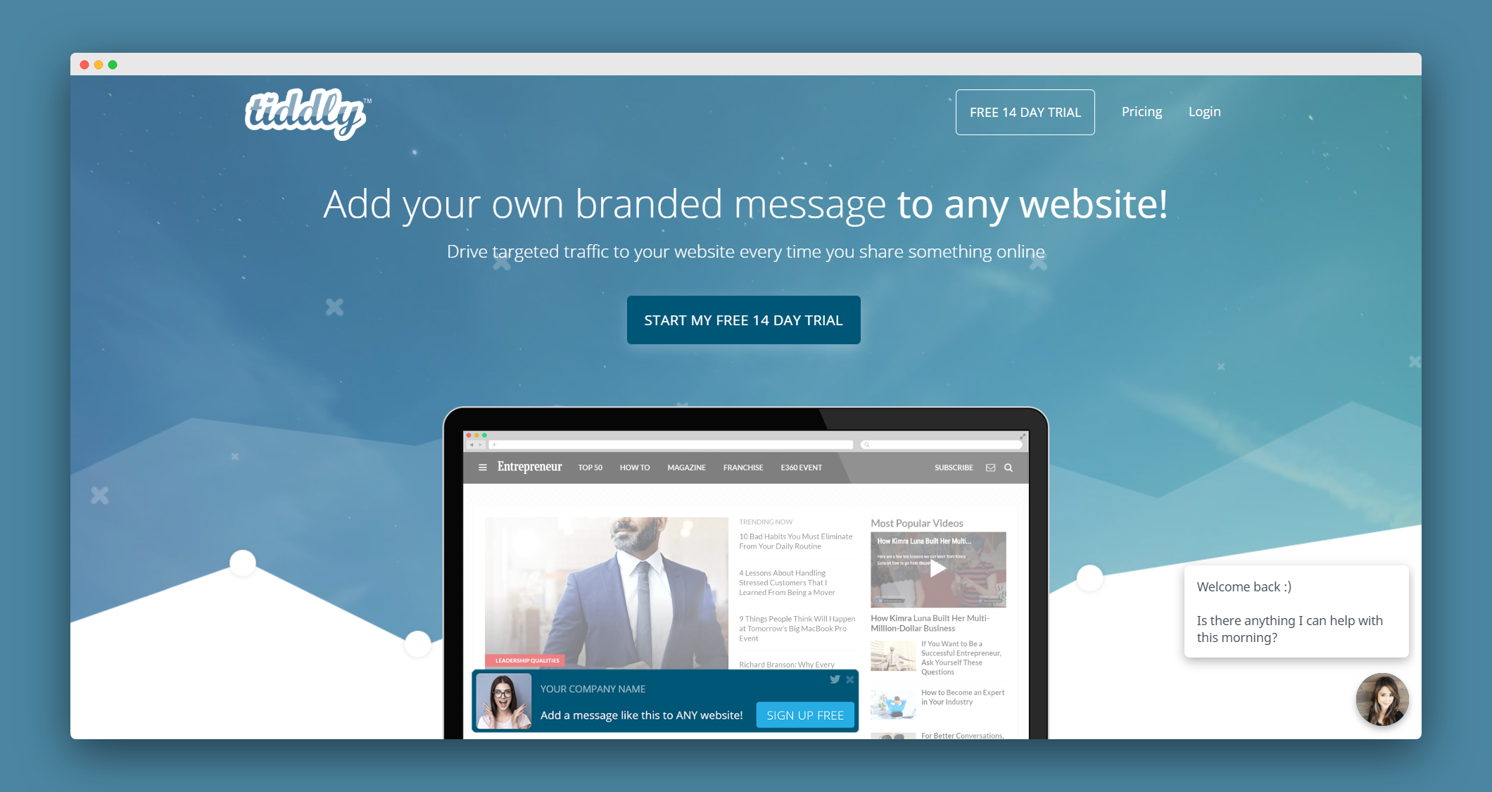 Tiddy Link Review 2023 - NoCode.Tech