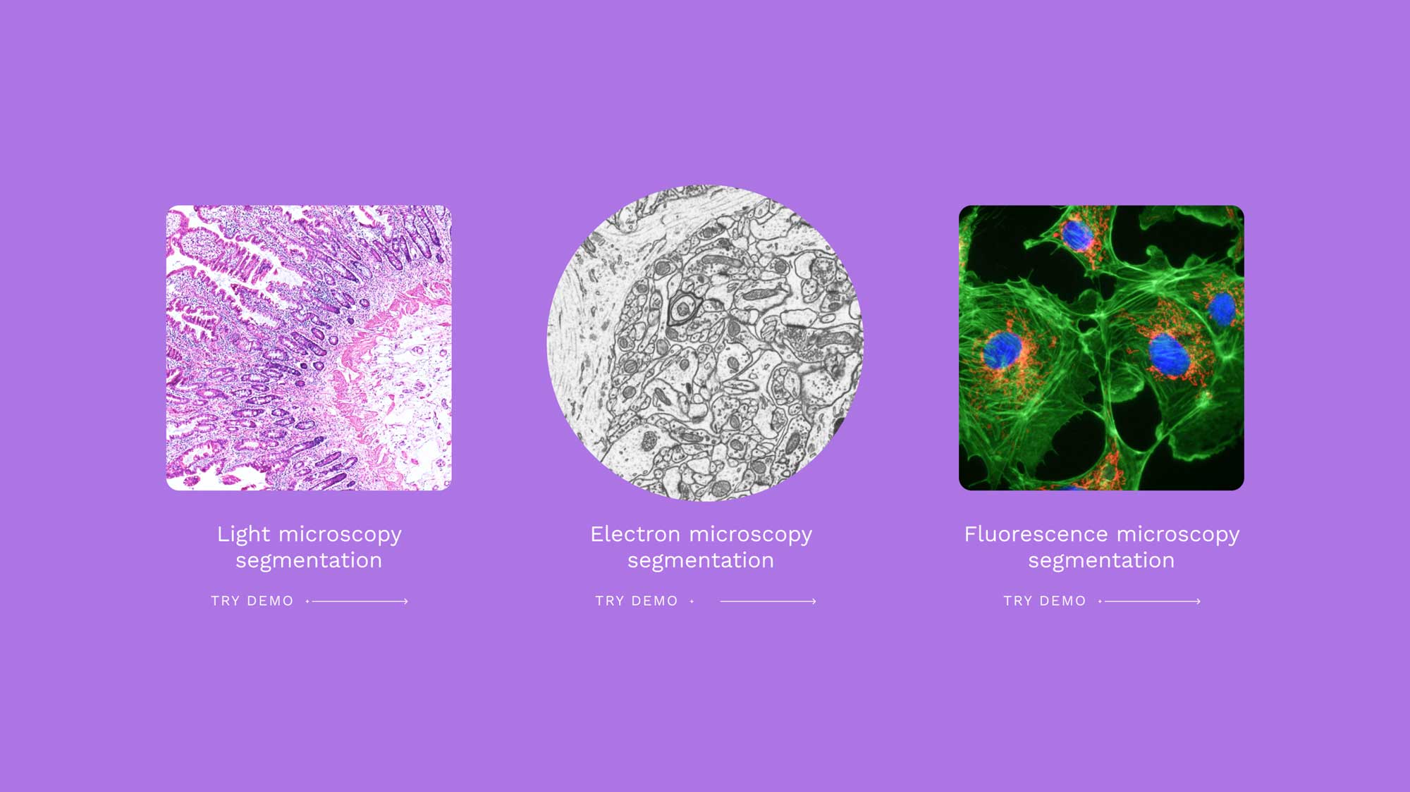 SamuylovAI – Bootstrapping biomedical imaging with semi-automated image ...