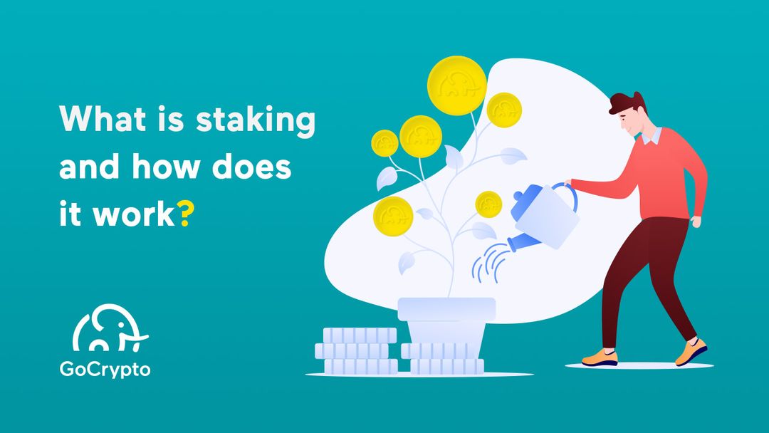 What Is Staking And How Does It Work?