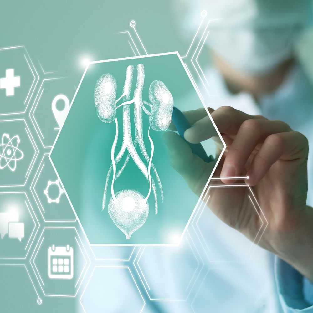 Urology | Dr. Soliman Fakeeh Hospital