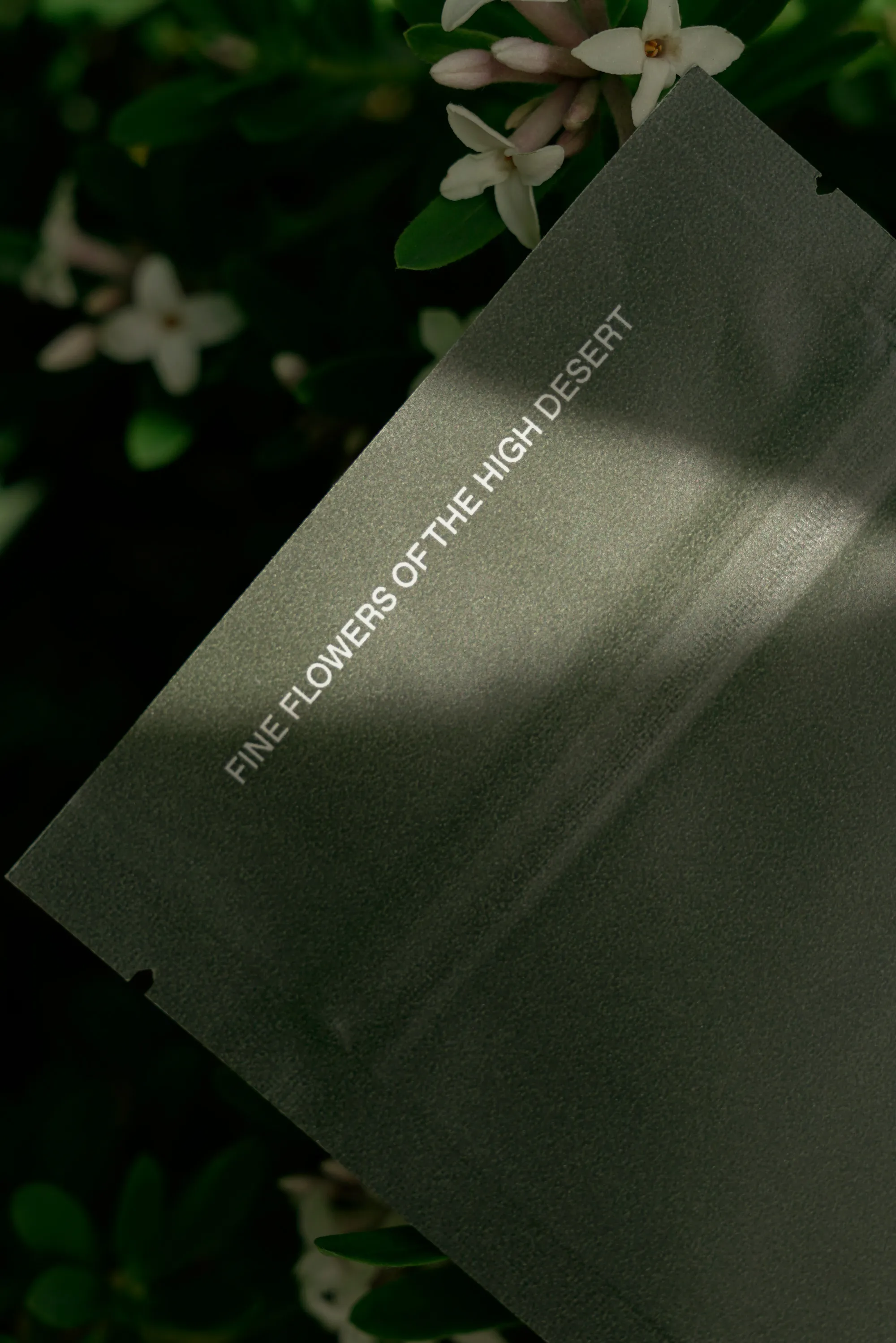 OMFGCO + Botanica - Visual Identity, Interior Design, Signage ...