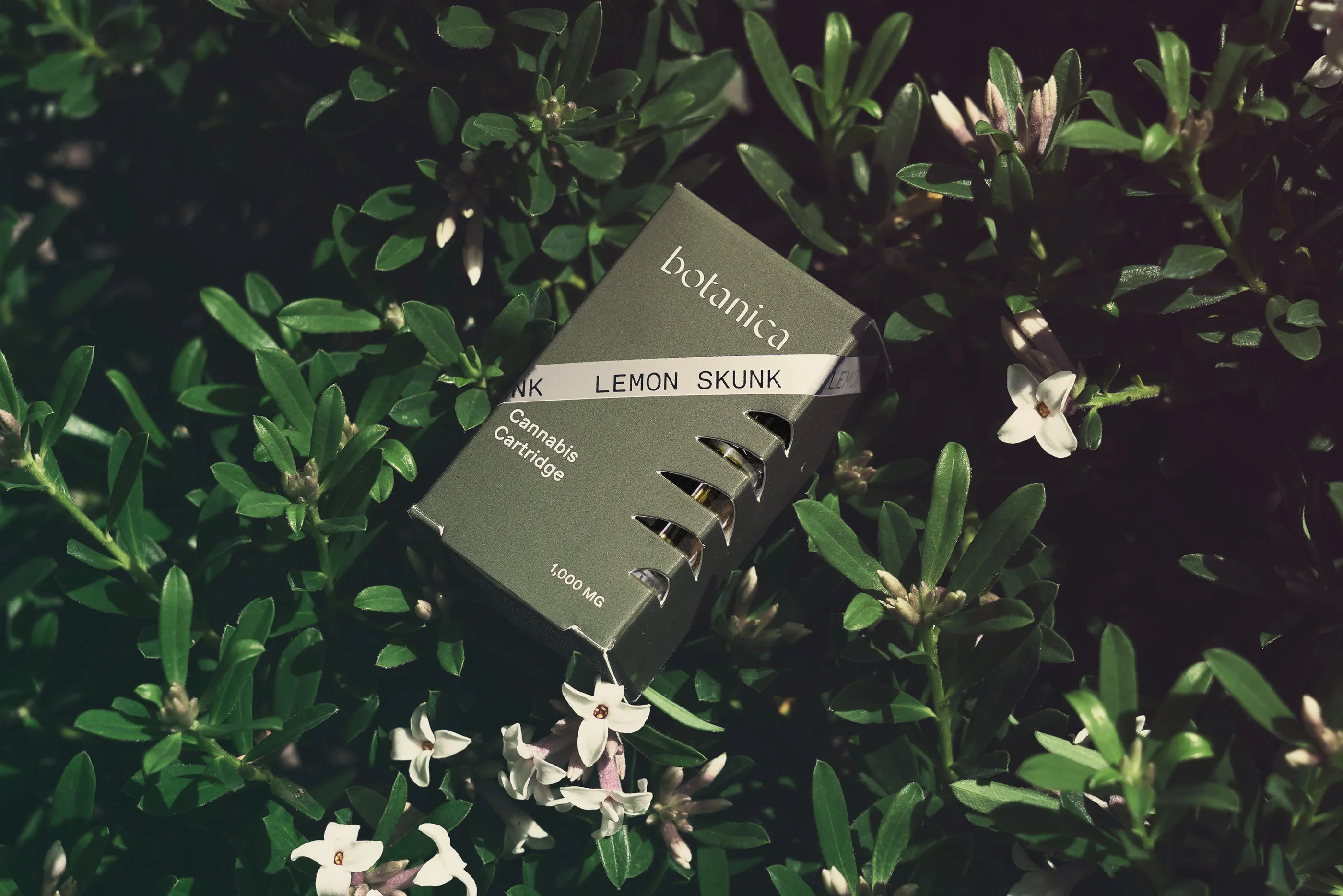 OMFGCO + Botanica - Visual Identity, Interior Design, Signage ...