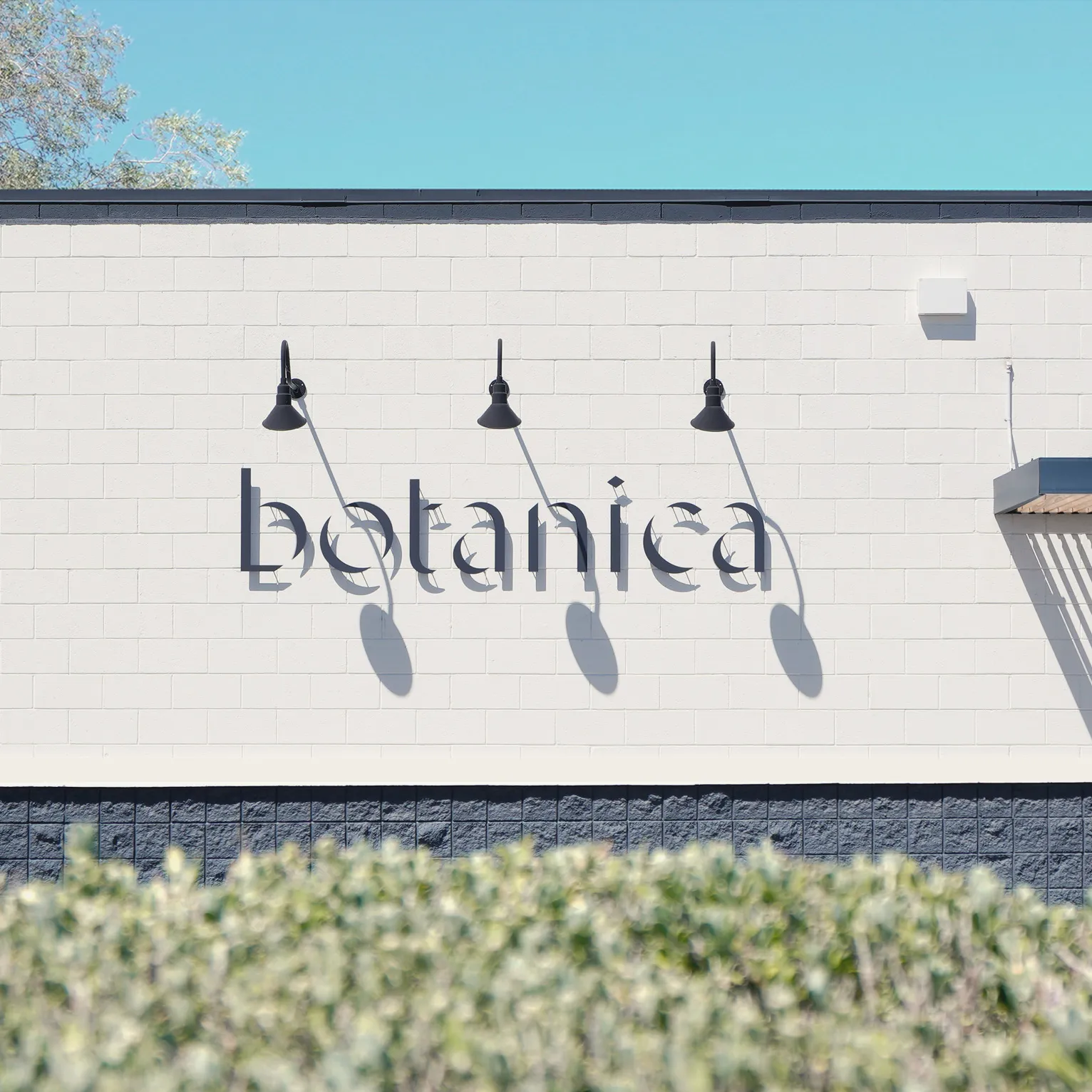 OMFGCO + Botanica - Visual Identity, Interior Design, Signage ...