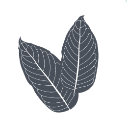 Kratom Testing Lab - Alkaloid Potency & Product Safety