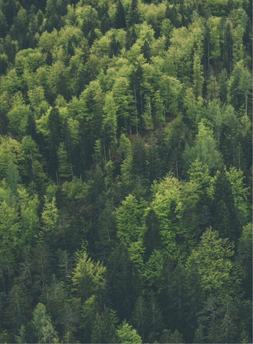 Digital Transformation Consulting And Strategies Mantro