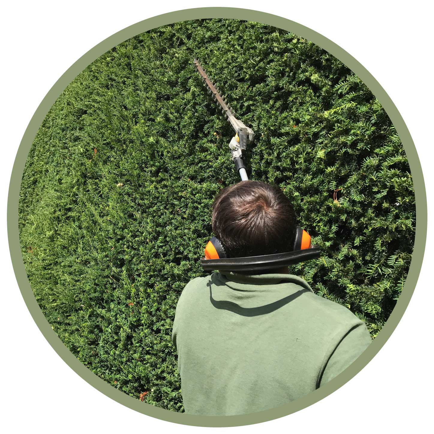 Garden Design Services in Worcestershire | Instant Scenery