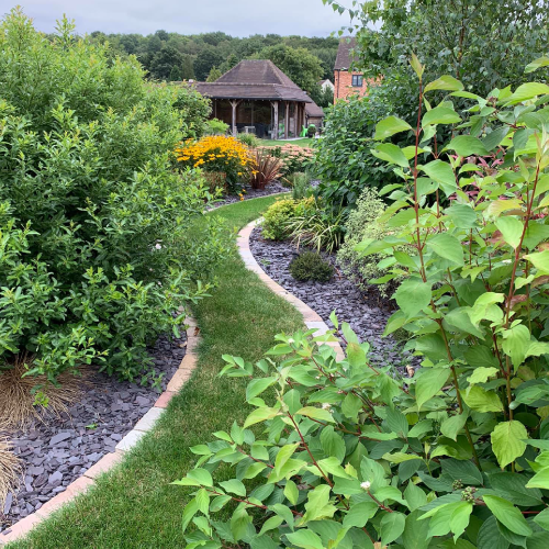 Plants For Sale Worcester | Instant Scenery