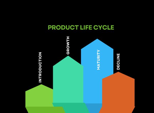 Product Life Cycle; What It Is, Why It Is Important And All 4 Stages ...