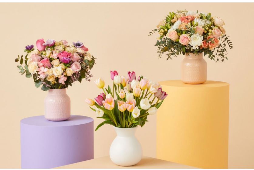 Shark Tank's Biggest Successes and Failures