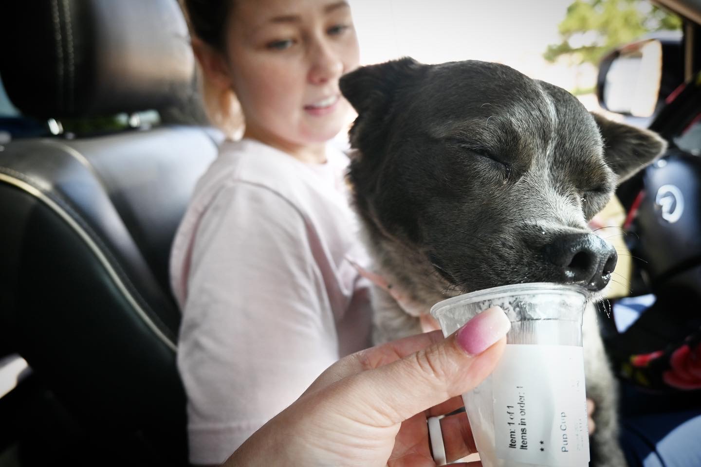 Ardmore Animal Shelter in Ardmore, Oklahoma