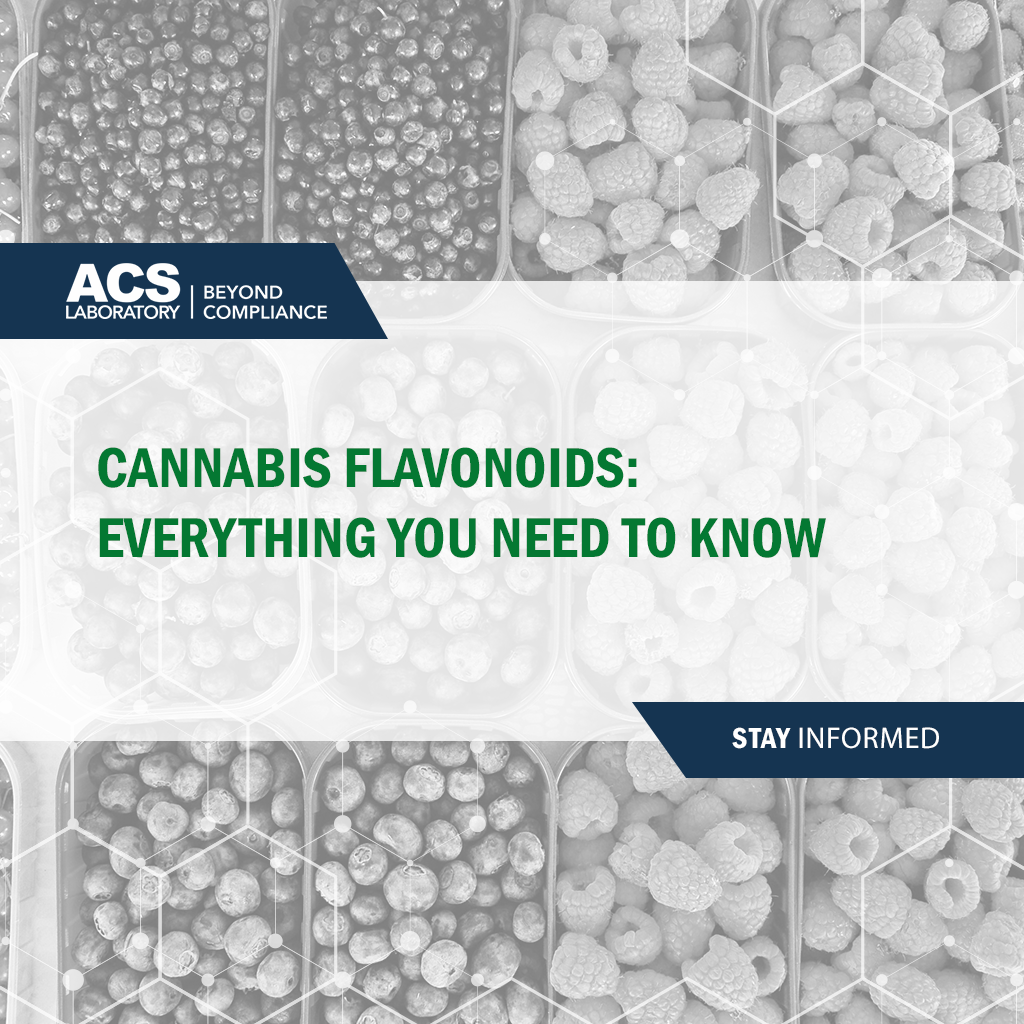 Cannabis Flavonoids: Everything You Need to Know
