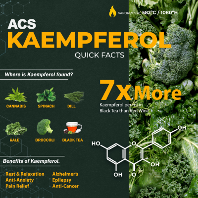 Flavonoid Friday: Everything You Need to Know About Kaempferol Flavor ...