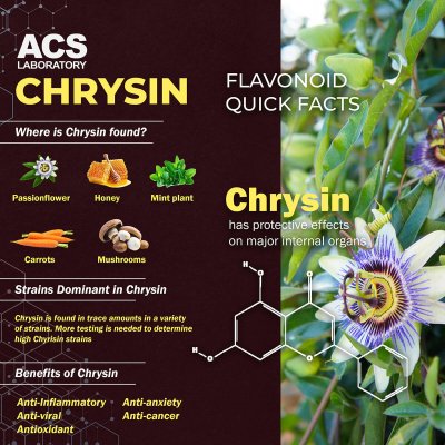 Flavonoid Friday: Everything You Need to Know About Chrysin Flavor ...