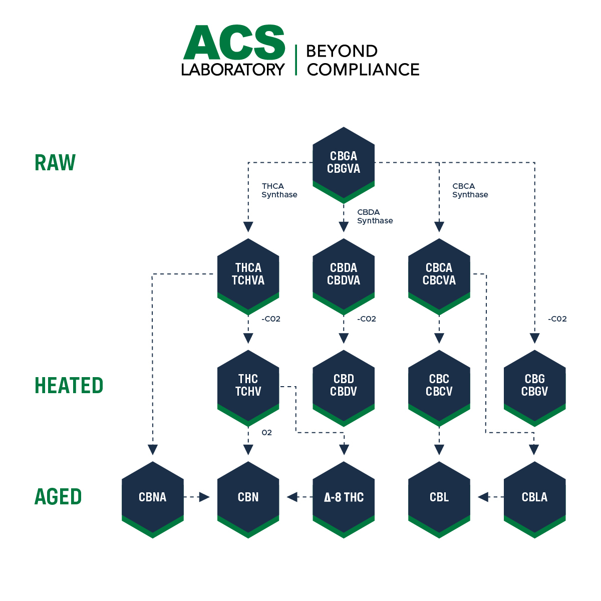 Cannabinoid Report: CBGa Products, Price, Benefits, Strains, and More
