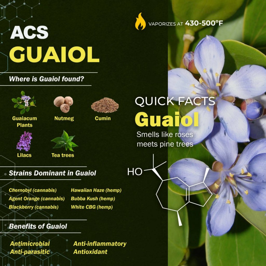 Terpene Tuesdays: Everything You Need to Know About Guaiol Flavor ...