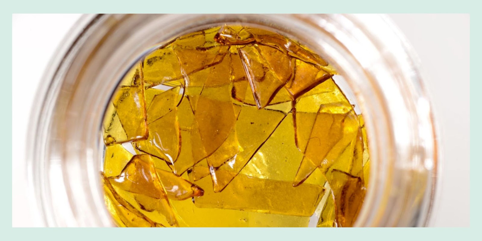 Cannabis Concentrates 101: A Guide to Terms, Usage, Potency, and Testing