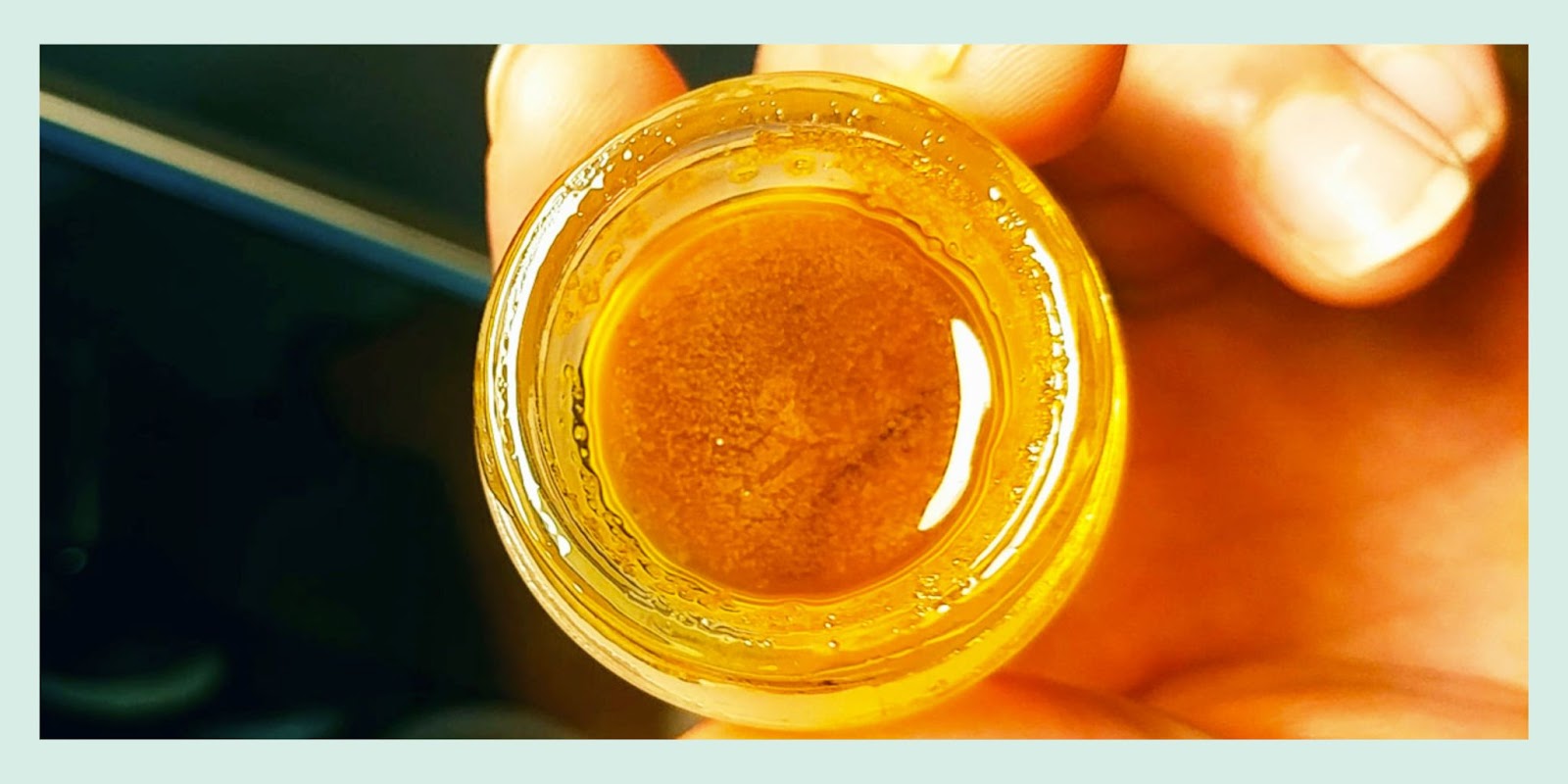 Cannabis Concentrates 101: A Guide to Terms, Usage, Potency, and Testing