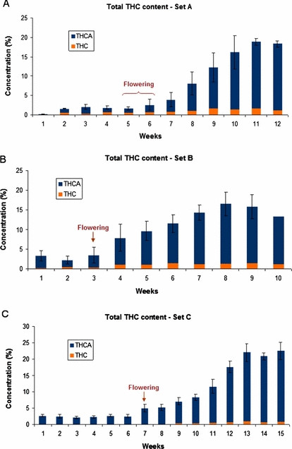 THCA Guide: Effects, Benefits, and Products
