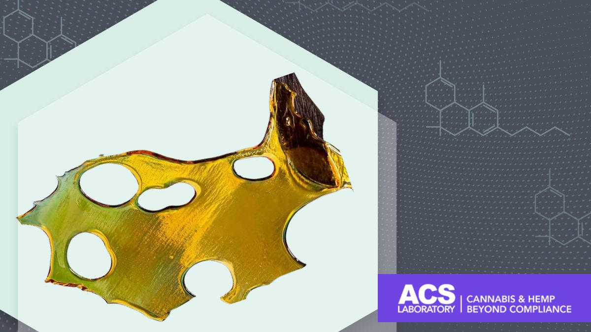 Cannabis Concentrates 101: A Guide to Terms, Usage, Potency, and Testing