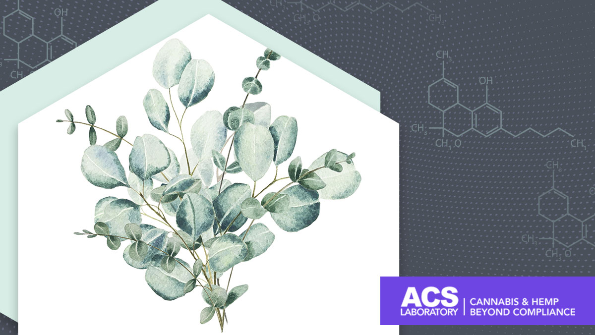 Terpene Tuesdays: Everything You Need To Know About Fenchyl Alcohol ...