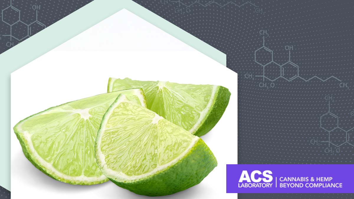 Terpene Tuesdays: Everything You Need to Know About Sabinene Hydrate ...