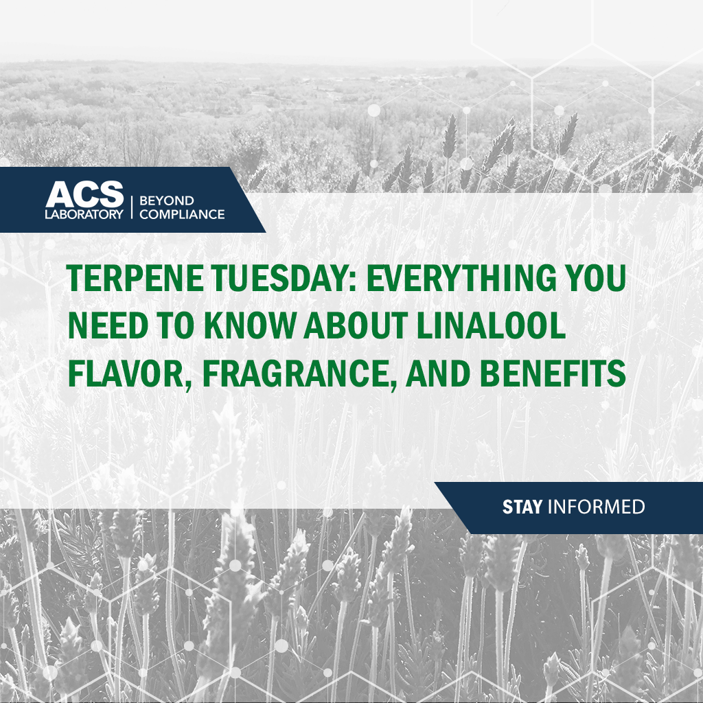 Terpene Tuesday: Everything You Need to Know About Linalool Flavor ...
