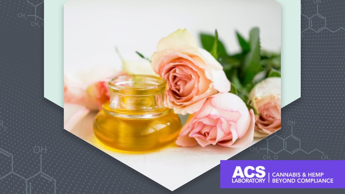 Terpene Tuesdays: Everything You Need to Know About Geraniol Flavor ...