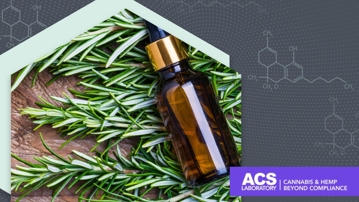 Terpene Tuesdays: Everything You Need To Know About Borneol Flavor ...