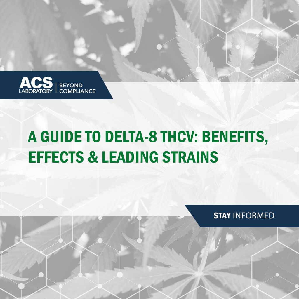 A Guide to Delta-8 THCV: Benefits, Effects & Leading Strains
