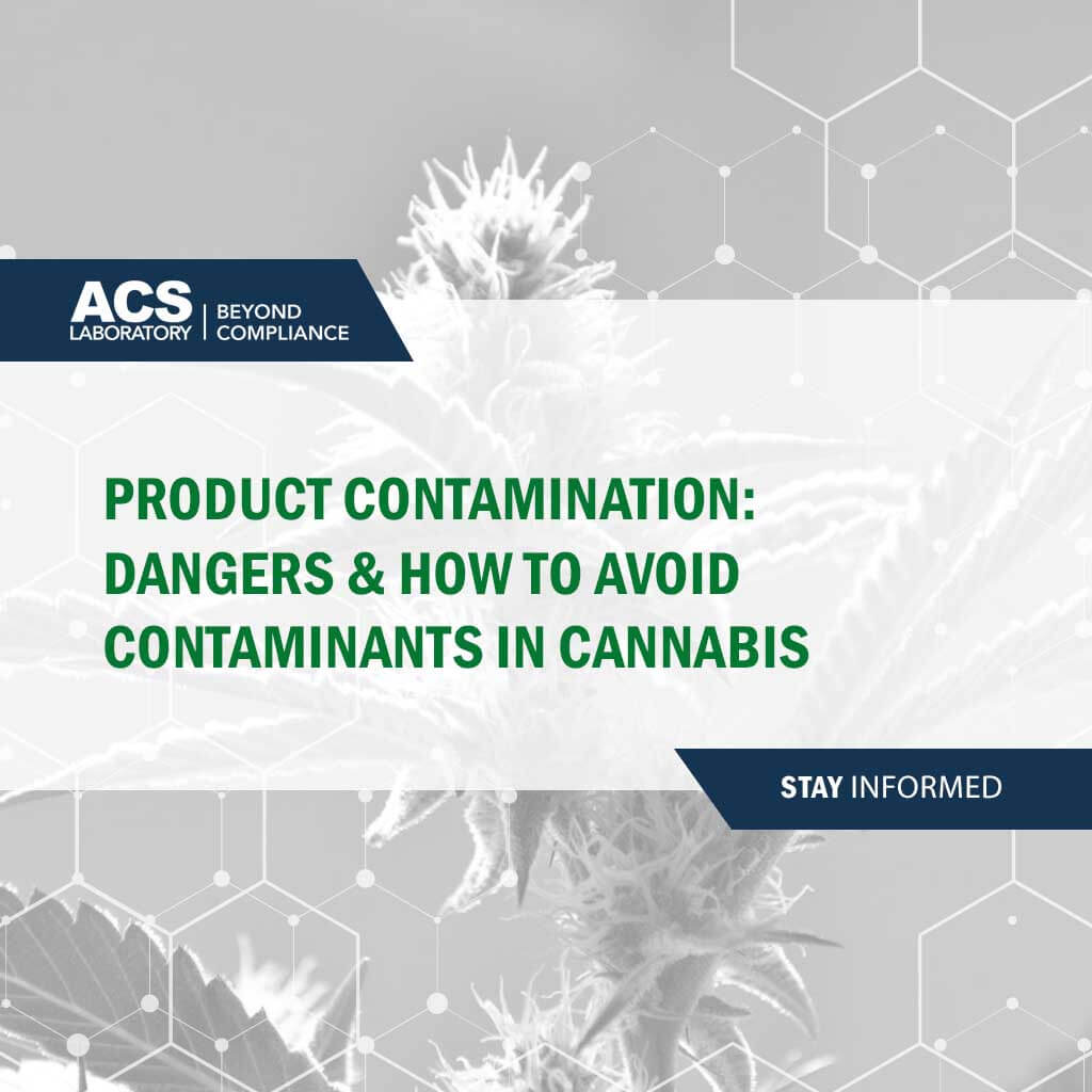 Product Contamination: Dangers & How to Avoid Contaminants in Cannabis