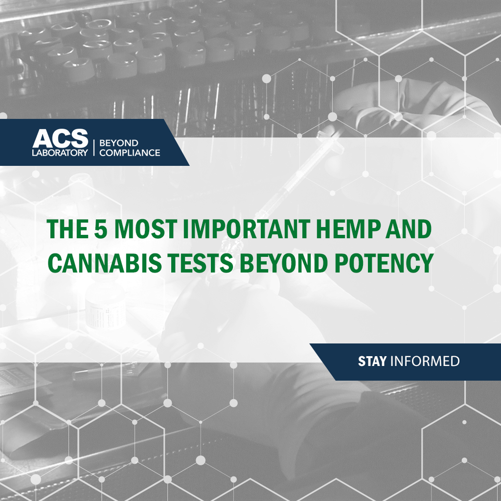 The 5 Most Important Hemp and Cannabis Tests Beyond Potency