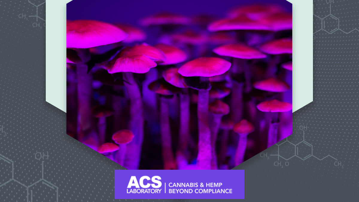 Oregon’s Psilocybin Mushroom Testing and Training Rules are Out