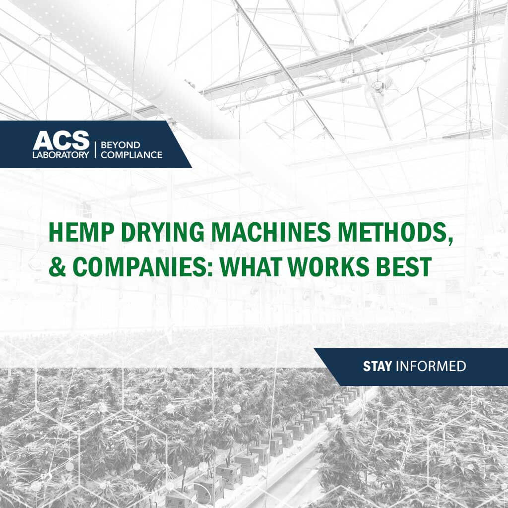 Hemp Drying Machines Methods, & Companies: What Works Best