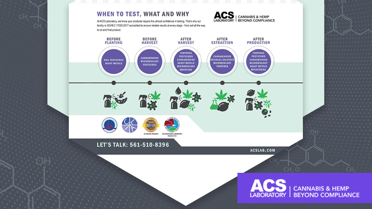 Hemp Testing Timeline: When and What to Test