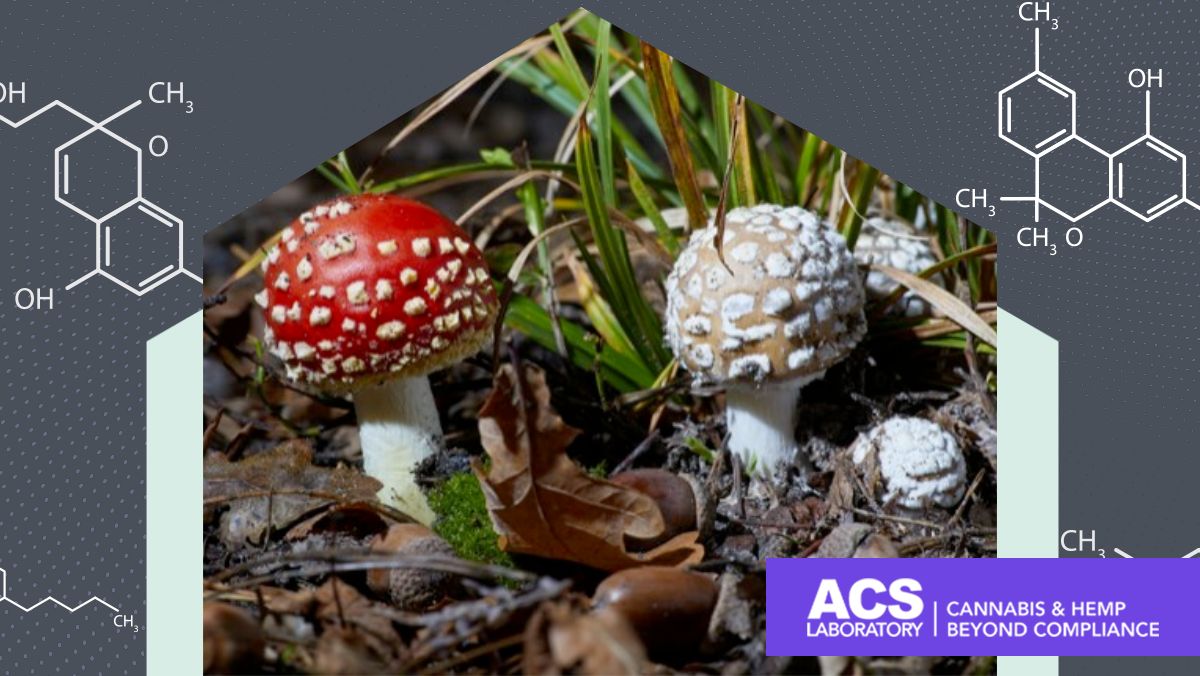 ACS Laboratory Expands Testing Scope and Introduces Amanita Mushroom ...