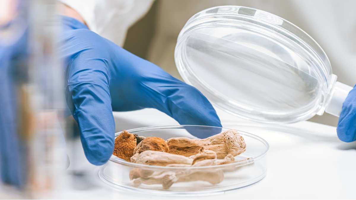 Rose Hill and ACS Laboratory Join Forces to Pioneer Psilocybin Testing ...