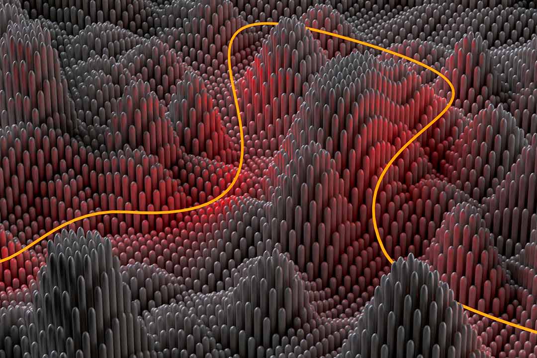 An Exploration of AI Harms: The Need for AI Risk Management