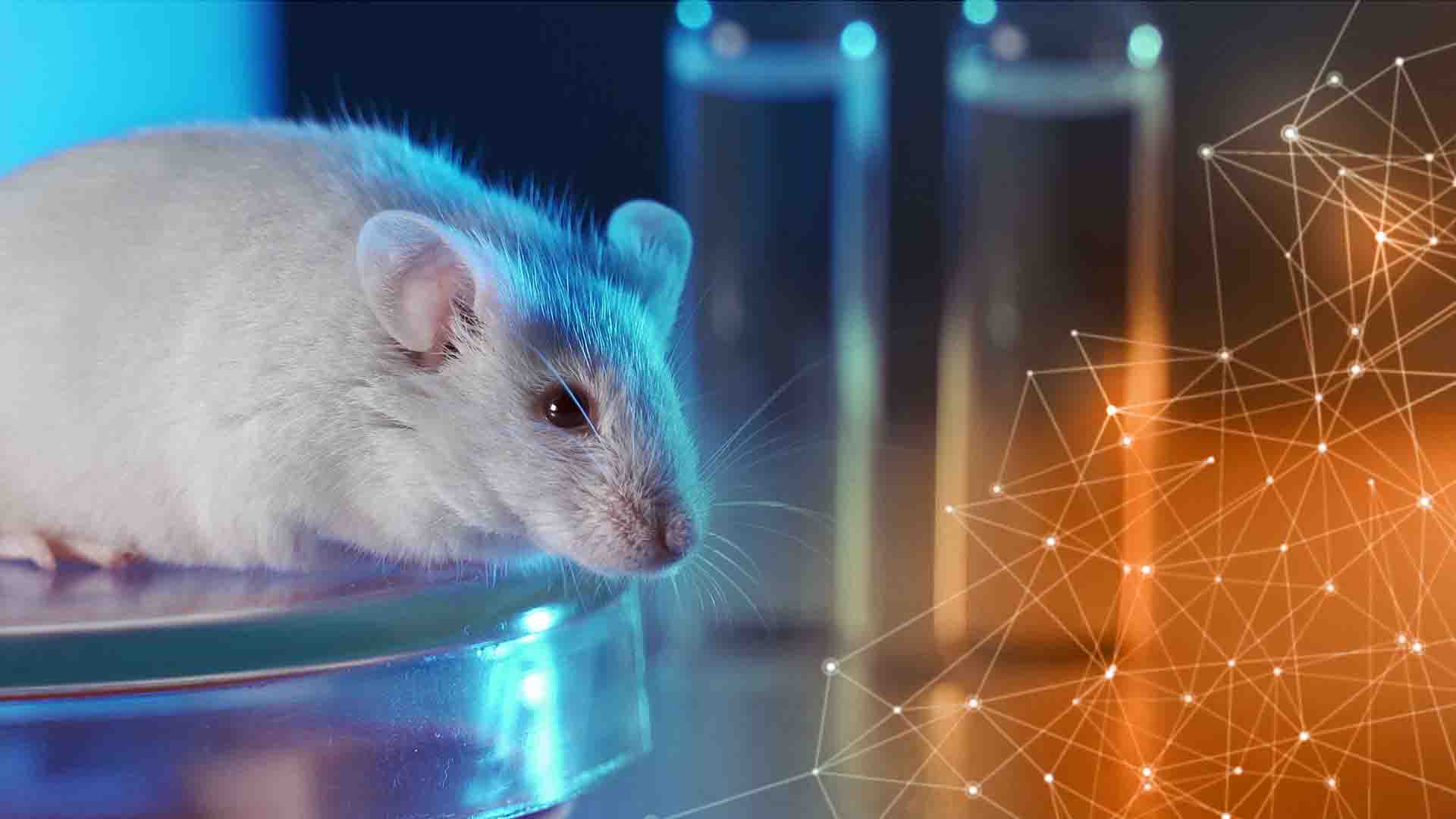 Synthesit news & articles. Incredible endurance test