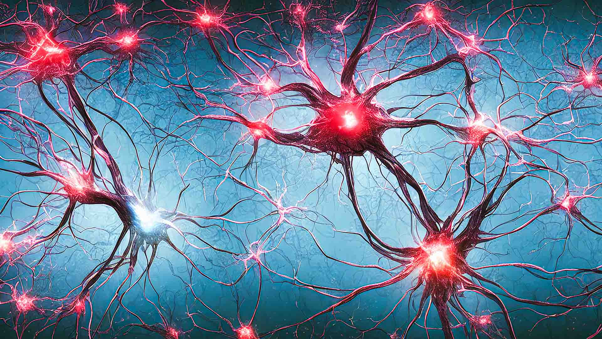 Synthesit news & articles. Protection of nerve cells