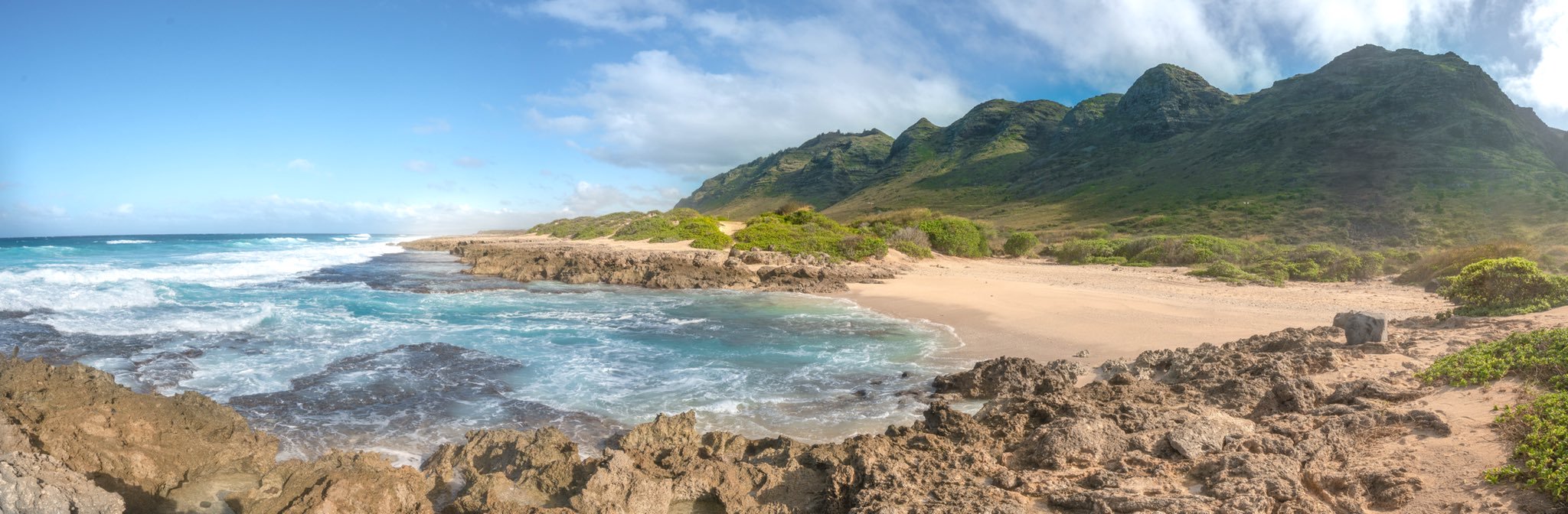 Embracing remote culture: interview with Brie Anne Demkiw | Mural