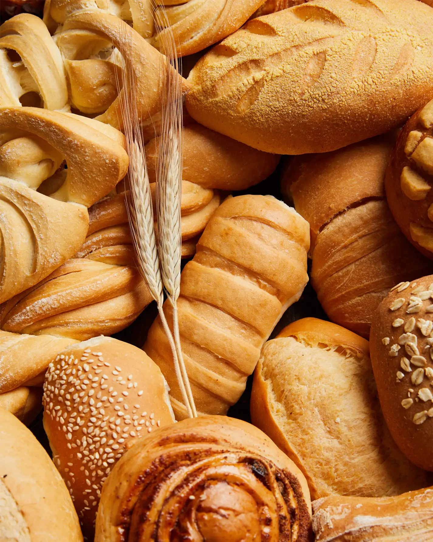 FASTer Way to Fat Loss: Carb Cycling Masterclass