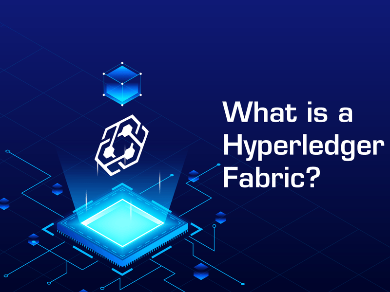 What is a Hyperledger Fabric?