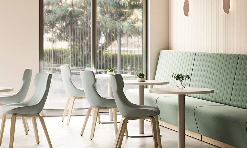 Premium Office Chairs for Enhanced Comfort | Office Gallery