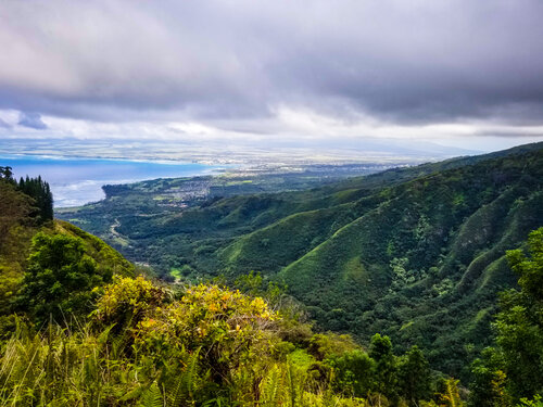 Practicing Mālama: How to care for your home away from home | The Hale ...