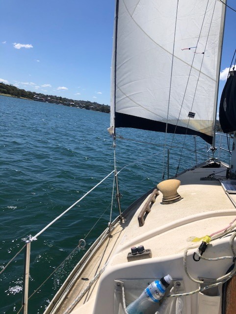 29' Compass Yacht - Drummoyne Boat Sales
