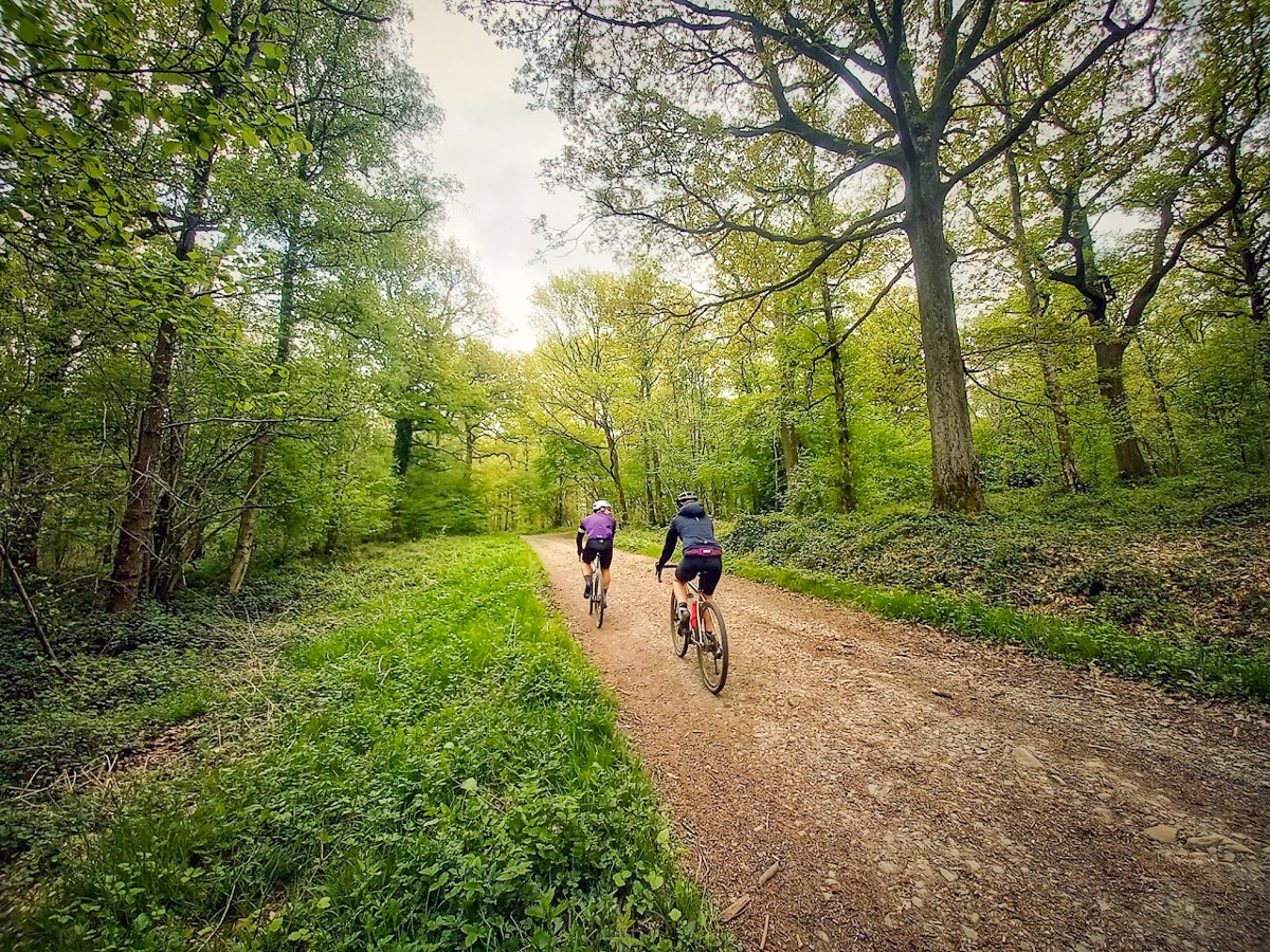 Morning Cycles - Magasins de vélo extraordinaires