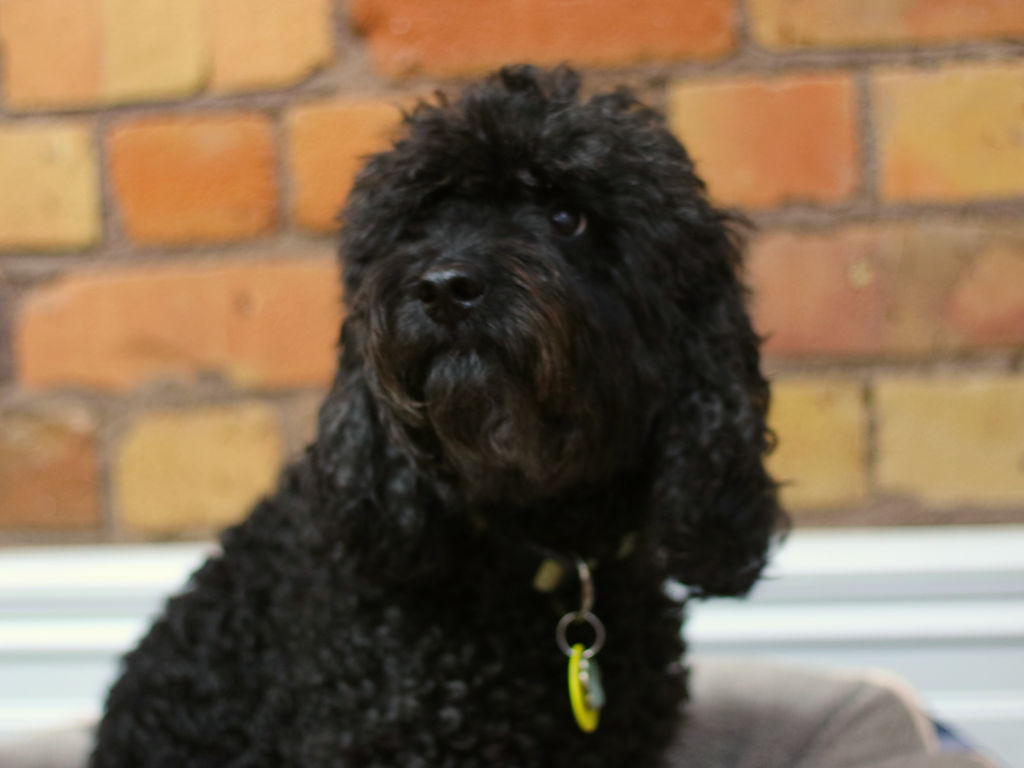 About Us | ElementX AI