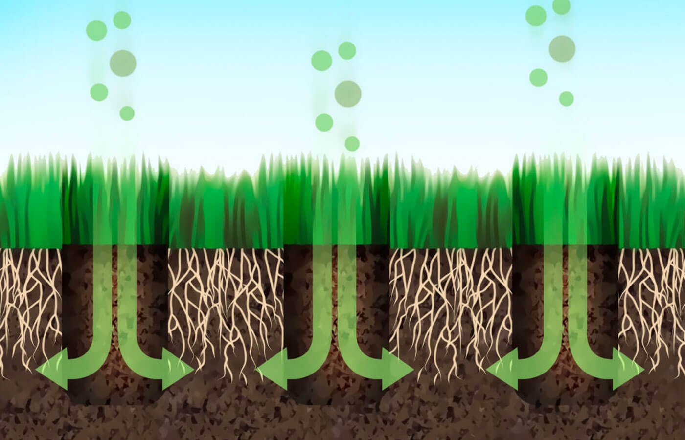 Why Your Lawn Needs Aeration Canopy Lawn Care