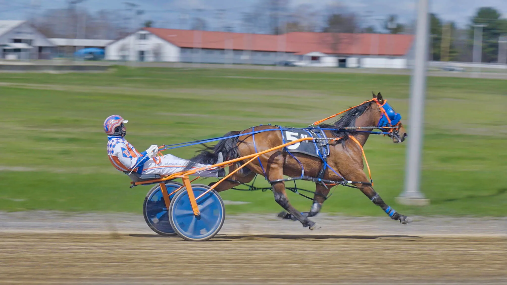 The Timber Cross | More Than A Race